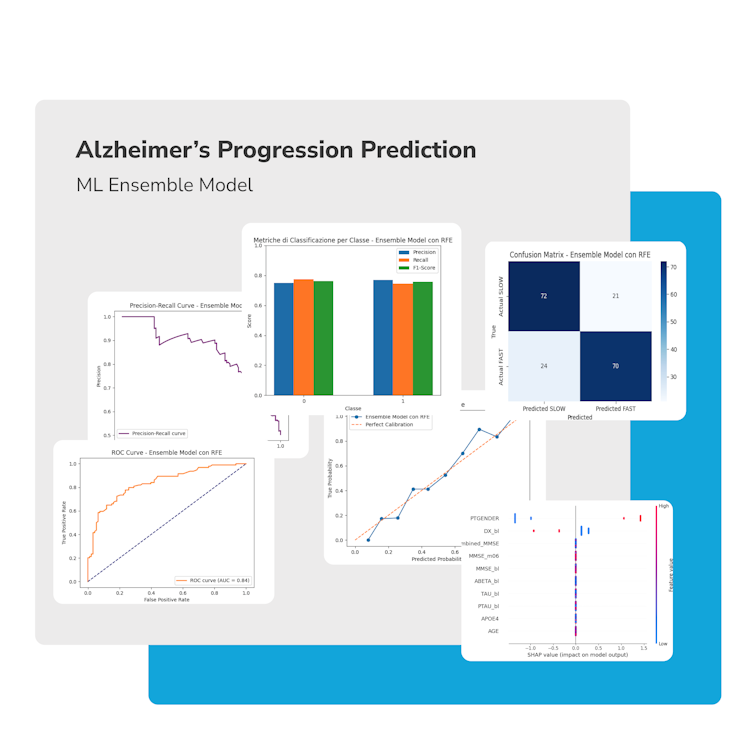 Bruno Di Marco - Portfolio